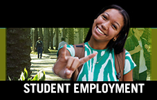 University of South Florida